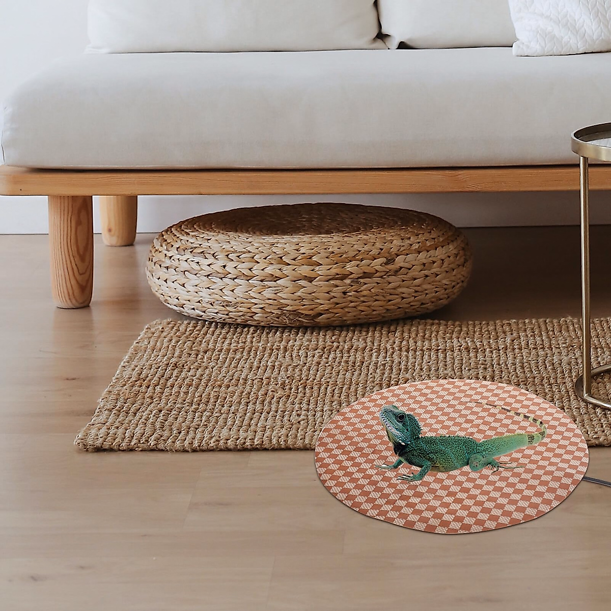 BCOATH Pet Heating Pad Lizard Heating Pad Lizard Terrarium Portable Heating Pads Bearded Dragon Warming Bed Pets Warming Sleeping Pad Electric Pet Heated Pad Reptile Pets Heated Mat Mat