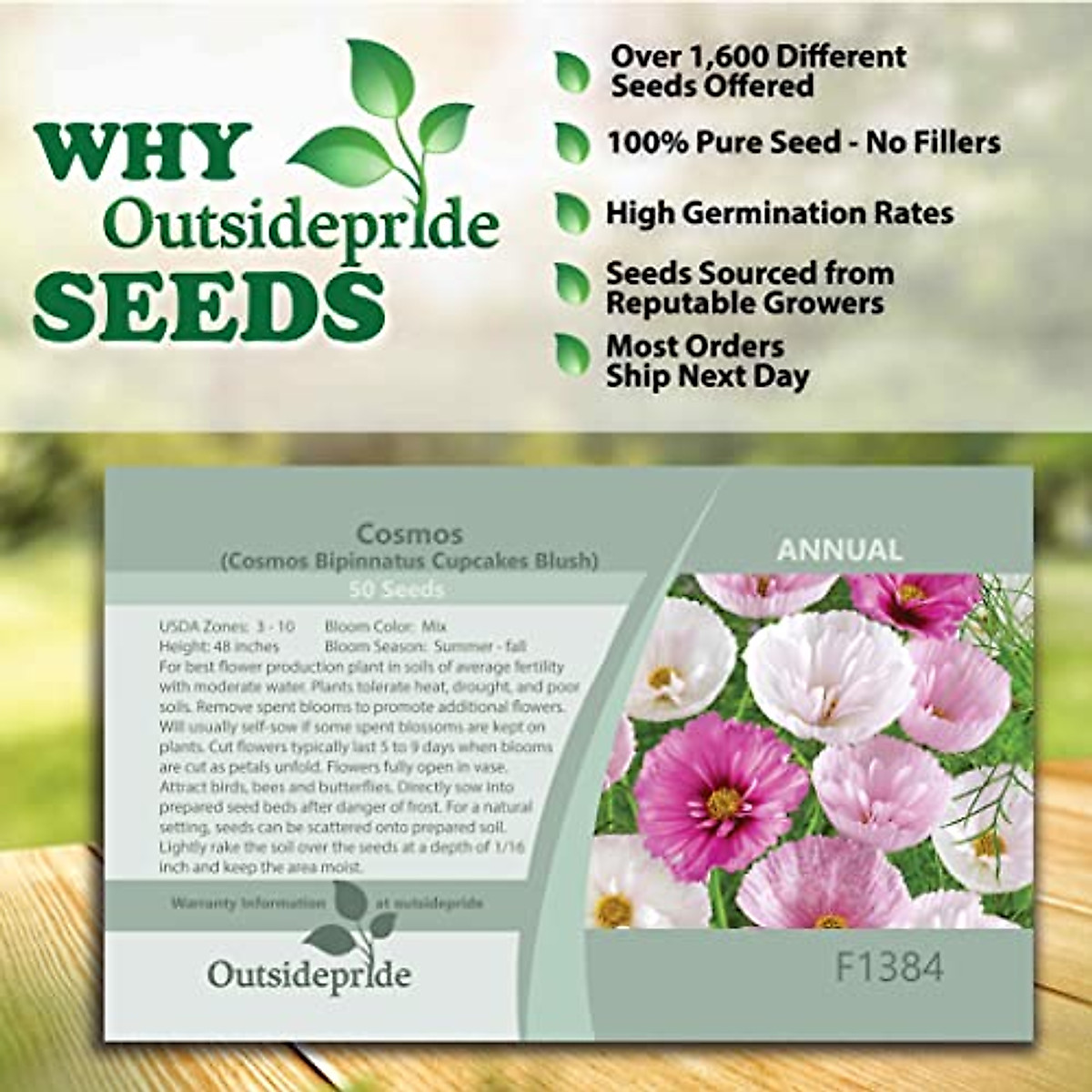 Outsidepride 50 Seeds Annual Cosmos Bipannatus Cupcakes Blush Cut Flower Seed Mix for Planting