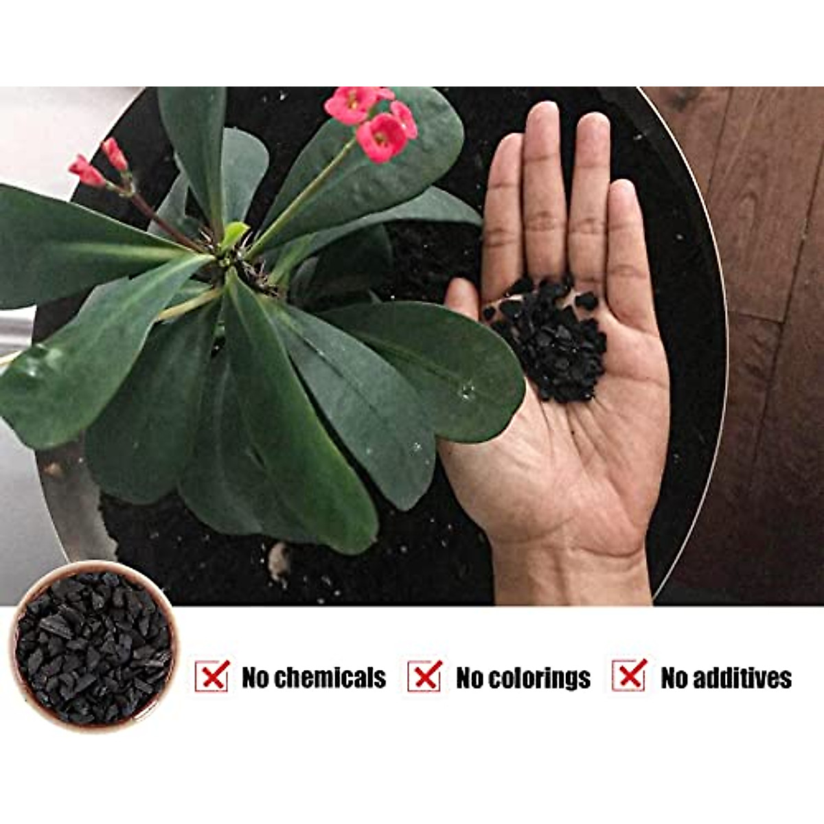 O-FarFarm Horticultural Charcoal for Potted Plants 1 QT, Hardwood Charcoal for Potting Soil Amendment, Orchids, Terrariums, and Gardening