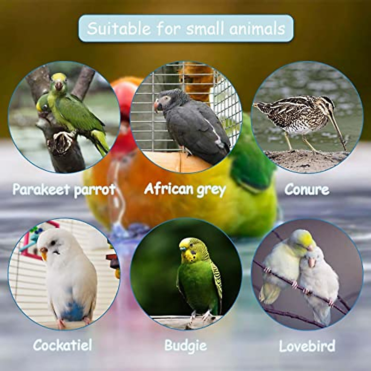 Hamiledyi Parrot Automatic Bath Tub,Pet Parrots Bathing,Bird Bathtub Parrot Shower with Faucet Multifunctional  Bath Box for Cockatiel  Parakeet  Finch Canary and Small Medium Birds  