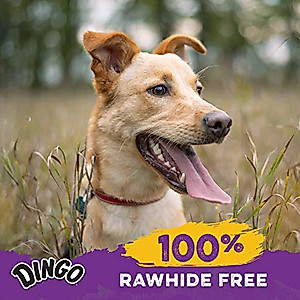 Dingo Porkie Rolls 15 Count, Pork Hide Chews for Dogs, Made with Real Chicken