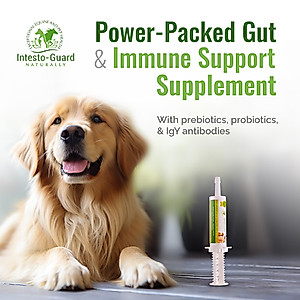 Intesto Guard Probiotics Paste 60ML/60cc Tube for Dogs & Cats Helps with Dog Diarrhea, Immune Supplements, with IgY antibodies & Made in USA