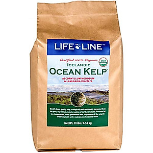 Life Line Pet Nutrition Organic Ocean Kelp Supplement for Skin & Coat, Digestion in Dogs & Cats,10lb, 20210