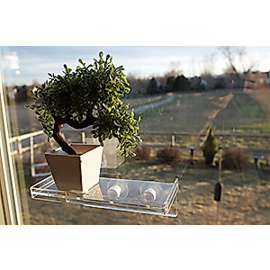 LaBrinx Designs Medium Suction Cup Shelf - Live Plants, Windows, and Bathrooms