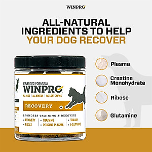 WINPRO Recovery Chews for Dogs, Plasma-Powered for Active Dogs, Immune System Support, and Dog Training Support for Competition and Sport Muscle Recovery and Agility, 60 Count, Made in USA