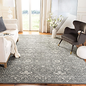 SAFAVIEH Evoke Collection Area Rug - 9' x 12', Grey & Ivory, Shabby Chic Distressed Design, Non-Shedding & Easy Care, Ideal for High Traffic Areas in Living Room, Bedroom (EVK270S)