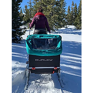 Burley Encore X, 2 Seat Kids Bike Trailer & Stroller