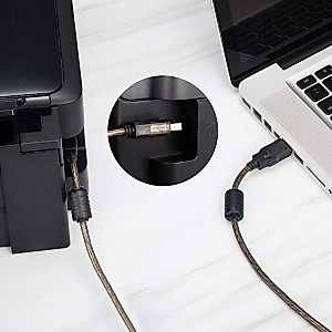 Tan QY Active USB 2.0 Printer Cable 100Ft - A-Male to B-Male High Speed Printer/Scanner/Repeater Cable for HP, Canon, Lexmark,Dell, Samsung etc (100Ft/30M)