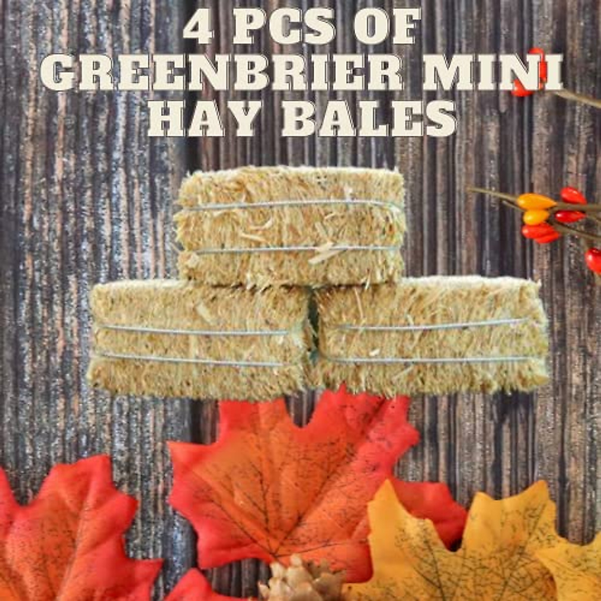 Greenbrier Mini Hay Bales for Autumn Harvest Craft, Decoration and Display, Pack of 4