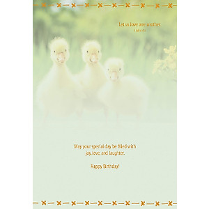 HTL Card-Boxed-Childrens Birthday-Fuzzy Friends (Box of 12)