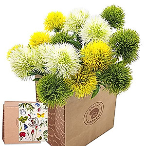 SNAIL GARDEN 15Pcs Artificial Dandelion, Artificial Flowers Plants Bouquet with 1 Vase Kraft Paper Bag-Plastic Shrubs Brushes Plant Fake Grass for Indoor Outdoor(White,Yellow,Green)