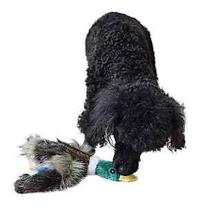 ALL FOR PAWS Classic - Mallard - L