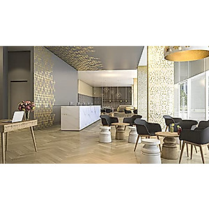 Bulbrite Incandescent T10 Medium Screw Base (E26) Light Bulb, 1 Count (Pack of 1), Clear