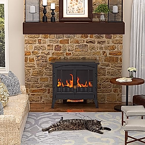 Electric Fireplace Stove, Indoor Freestanding Fireplace Heater with 3D Realistic Flame, Infrared Electric Stove Heater,Overheating Safety System,Thermostat, Portable 1000W/1500W(23 Inch)