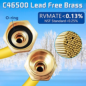 RV Winterizing Kit, 12" RV Winterize Blowout Adapter with Shut Off Valve, Air Compressor Quick Connect Blow Out Fitting Plug, 3/4" Garden Hose Thread for Faucet Boat Camper Travel Trailer, Motorhome