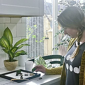 COCORO Japanese Zen Garden for Desk and Office Accessories Includes Zen Garden Sand, Rocks, Rake, Moss Stones, Fishes, Lantern, Bridge, and Origami