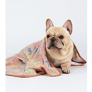 1 Pack 3 Blankets Super Soft Fluffy Cute Bone Pattern Pet Blanket Flannel Throw for Dog Puppy Cat Pink/Brown/Purple Large