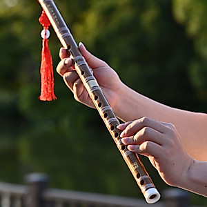Bamboo Flute D Key Dizi Chinese Traditional Musical Instrument