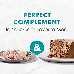 Purina Fancy Feast Wet Cat Food Complement, Appetizers Light Meat Tuna With a Scallop Topper - (10) 1.1 Oz. Trays