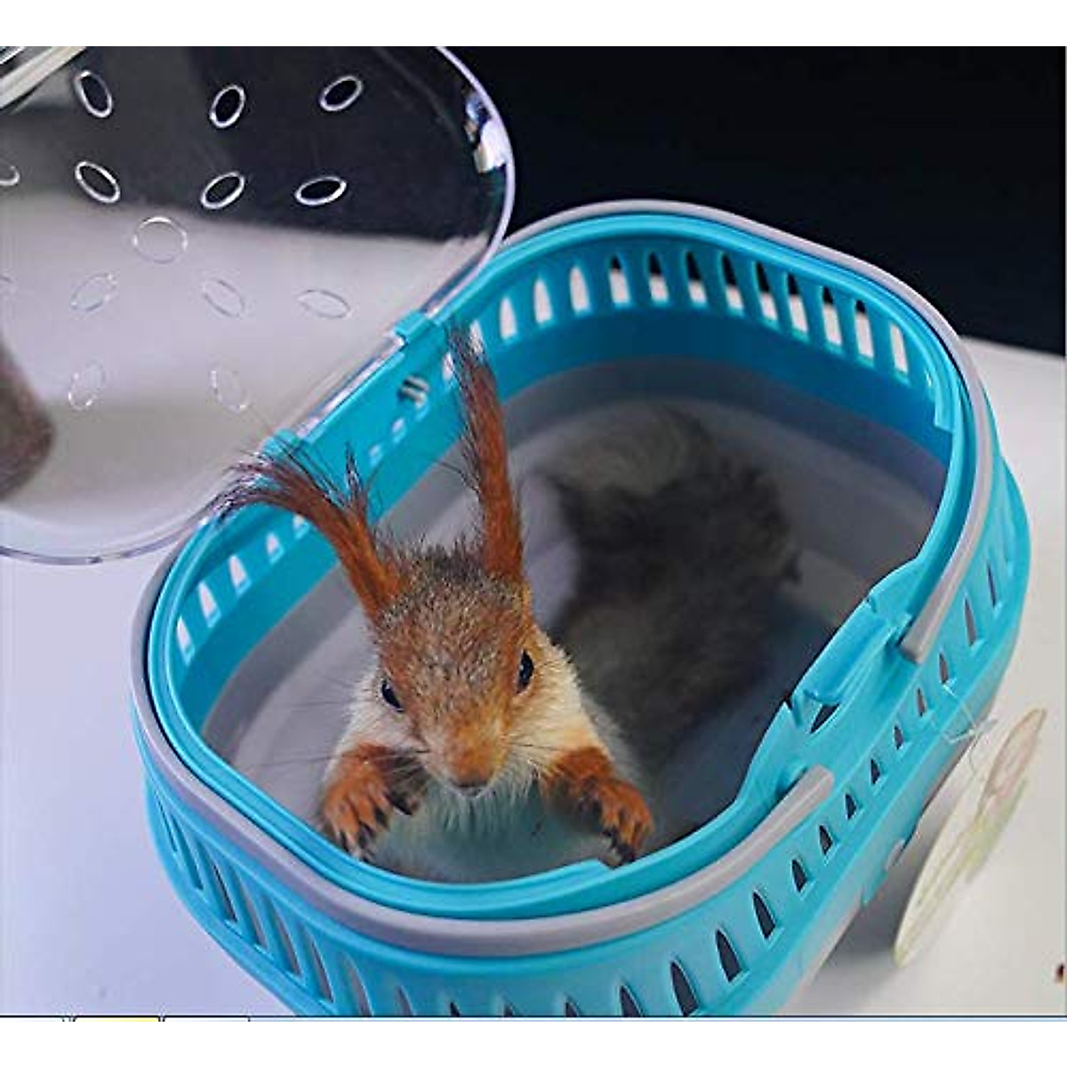 Misyue Big Hamster Cage Portable Carrier Hamster Carry Case Cage (Blue Green Color May ramdom)