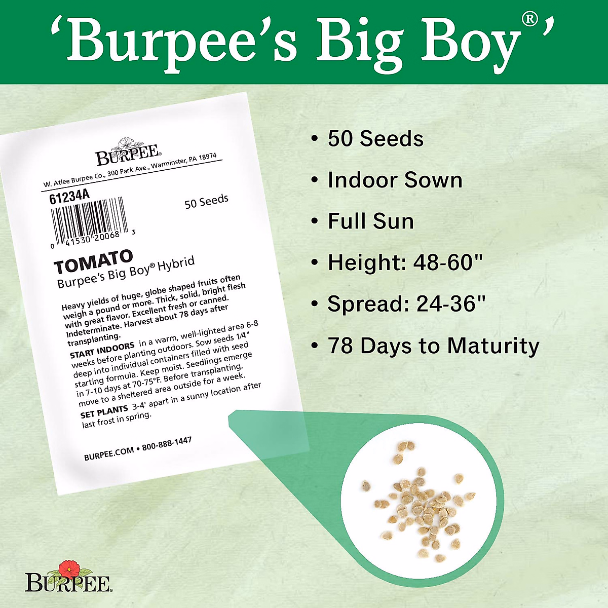 Burpee 61234E Big Boy Tomato, 125 seeds, Red