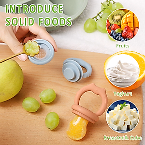Eoopoon Silicone Baby Fruit Food Feeder Pacifier & Baby Food Freezer Tray Combo, Breast Milk Popsicle Freezer Molds Teether Toy for Babies 4-6, 12 Months, Baby Food Storage Containers Freezer (Lilac)
