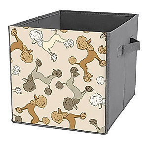 Poodle Pet Dogs Pattern Canvas Collapsible Storage Bins Cube Organizer Baskets with Handles for Home Office Car