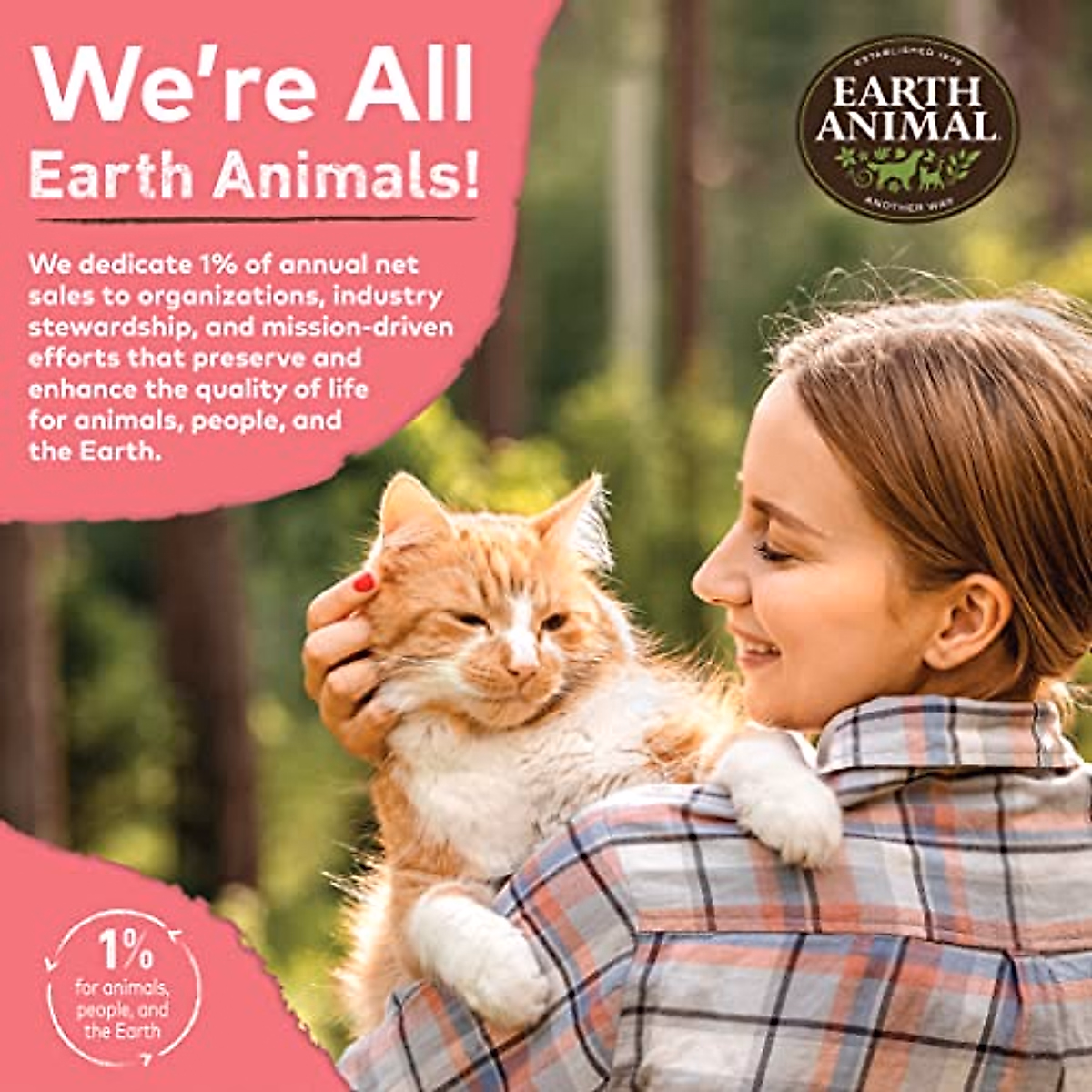 EARTH ANIMAL No Hide Stix Salmon Flavored Natural Rawhide Free Dog Chews Long Lasting Dog Chew Sticks | Dog Treats for Small Dogs and Cats | Great Dog Chews for Aggressive Chewers (3 Pack)