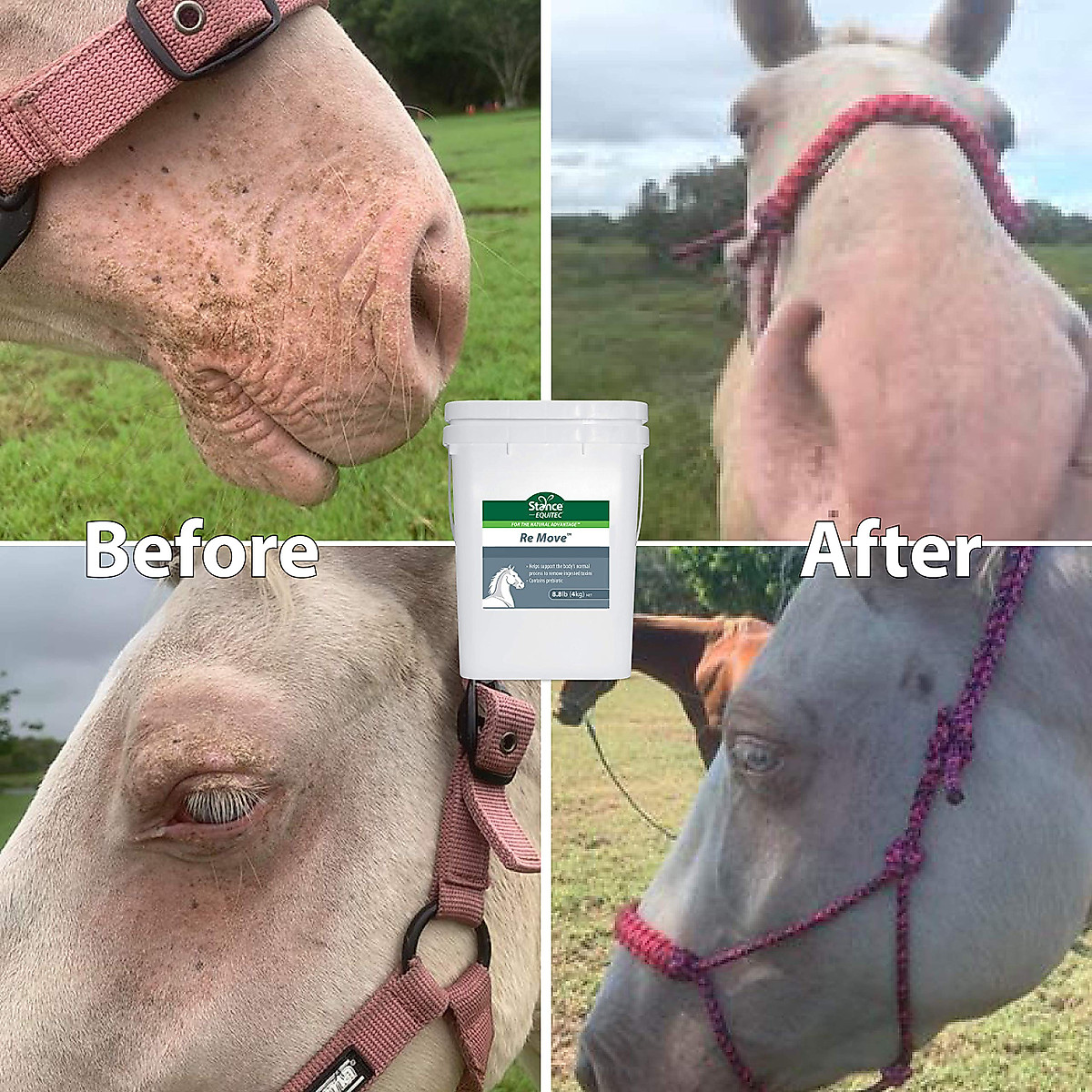 Stance Equitec Re Move - Horse Supplements That Support The Body's Normal Process to Remove Ingested Toxins, Contains Probiotics - 8.8 lb