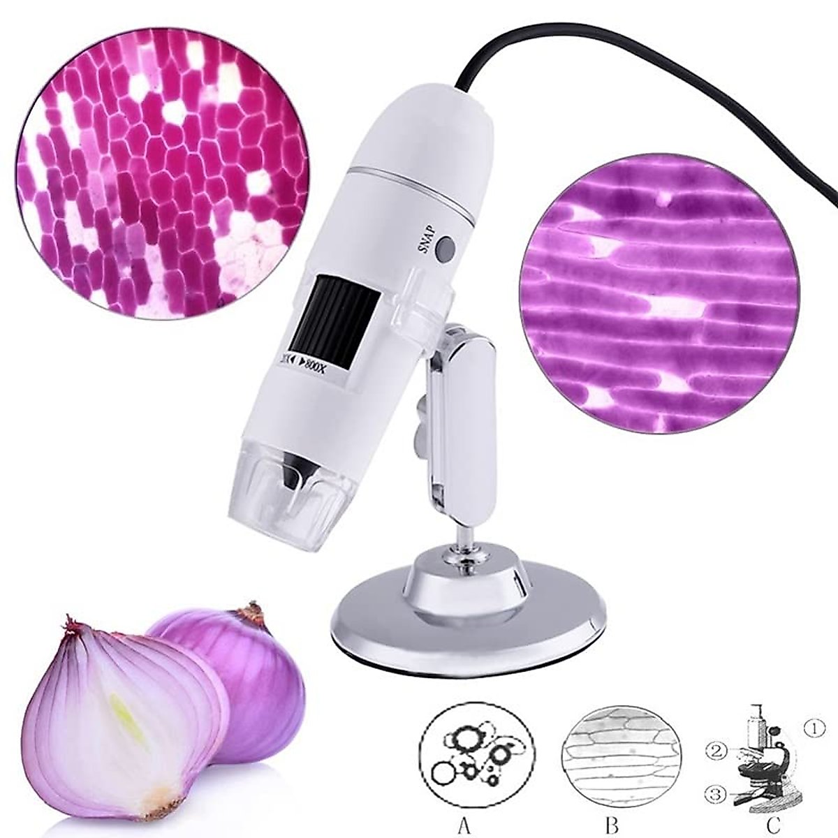 Handheld Digital Microscope Accessories USB Digital Microscope 1000X 800X 8 LED 2MP Electronic Microscope Zoom Camera Microscope Accessories