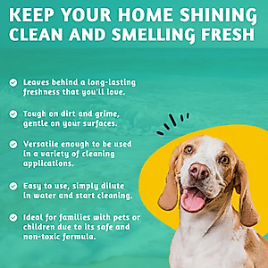 Multi Purpose Cleaner Pet Odor eliminator - pH Neutral - Strong Odor Floor Cleaner - Pet Odor Eliminator for Home - Best Scent Remover for Cat and Dog Pee All Purpose Cleaner 1 gallon (Sky Breeze)