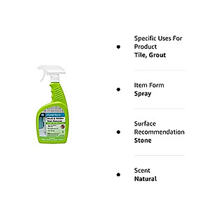 STONETECH Mold & Mildew Stain Remover 24oz Spray Bottle