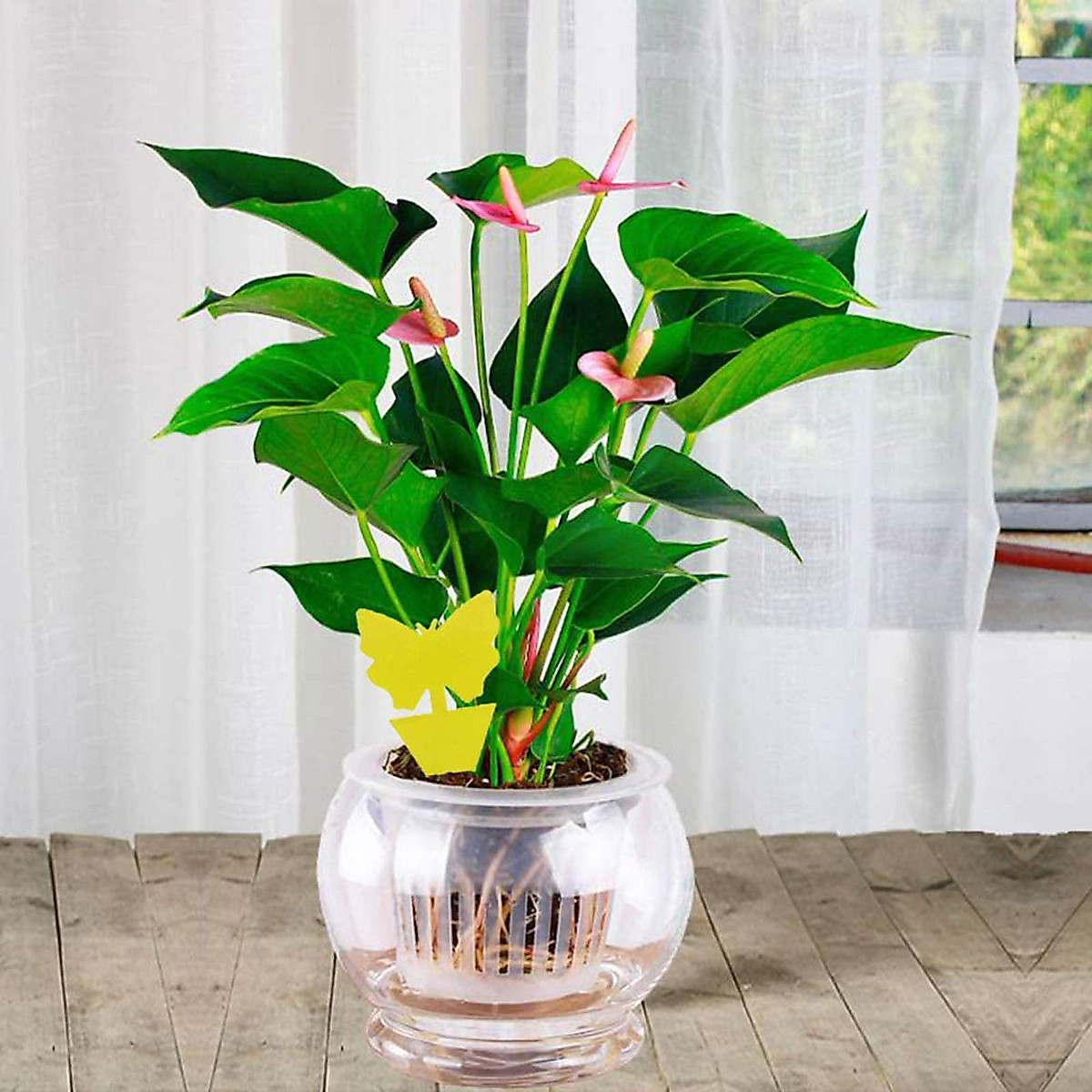 Faicuk Dual-Sided Yellow Sticky Fly Traps for Plant (20 Pack Butterfly)