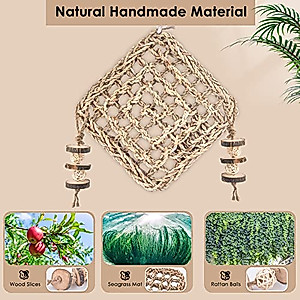 Bissap Seagrass Protector Mat with Treats, Rabbit Chews and Play for Bunny Chinchilla Guinea Pigs or Other Rodent Pets Hanging Chewing Toys