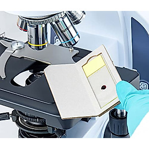 Globe Scientific 1324Y Glass Microscope Slide, 25 x 75mm Size, Ground Edges with Safety Corners, Yellow Frosted (1,440 slides)
