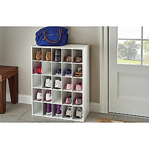 ClosetMaid 24.1-in Laminate 25 Cube Organizer
