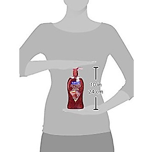 Softsoap Body Wash, Pomegranate & Mango Pump, 32 Ounce