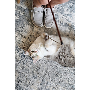 OurPets Play-N-Squeak Teathered & Feathered Play Wand Cat Toy, for All Breed Sizes