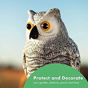Horned Fake Owl and Bird - 10.5" Plastic Owls to Scare Birds Away - Effective Bird Devices - Scarecrow for Garden - Bird Devices Outdoor, Keep Birds Away