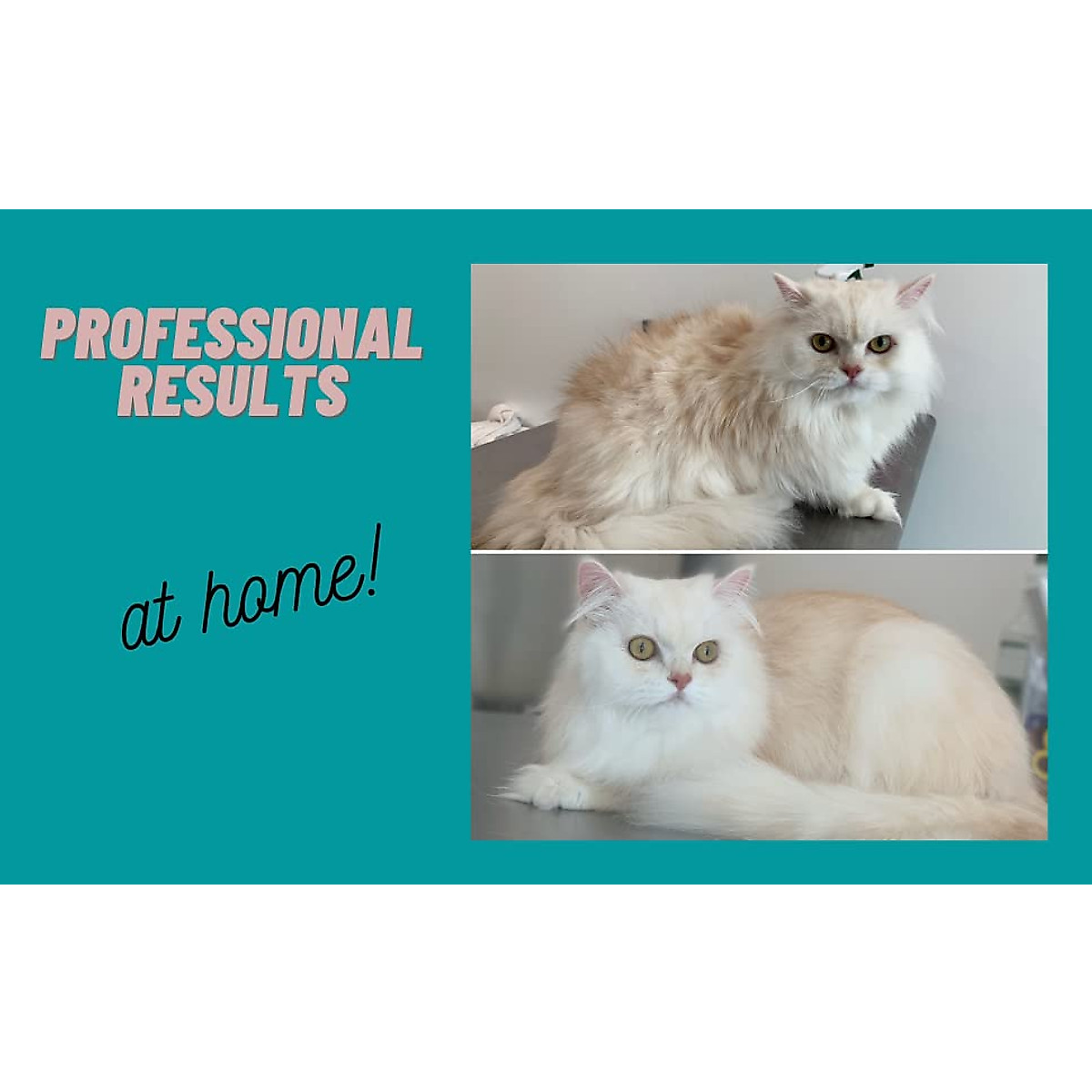 Chubbs Bars Bar - Pet Shampoo Bar for Dogs and Cats - Degreasing Dog and Cat Shampoo That is Gentle and Natural - Green Clover and Aloe Scent - 4 Oz. Bar