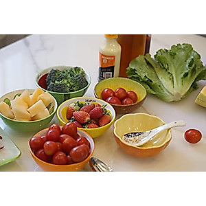 RUIBOER Porcelain Bowls Set, 5 Inch 8.5oz set of 6 Ceramic Cereal Bowls, Fruit Style Bowls for C