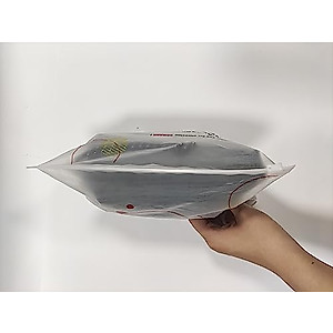 ZOMAKE Ultra Lightweight Packable Backpack 18L - Small Foldable Hiking Backpacks Water Resistant Folding Daypack for Travel(Black)