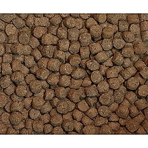 Wysong Synorgon Canine Formula Dry Dog Food - 5 Pound Bag