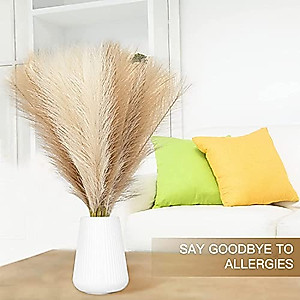 GALLIA Pampas Grass Decor Tall-Faux Pampas Grass Small 17"-6 Stems-Beige and Taupe Brown Pompas Floral, Artificial Pampas Grass Fake Pampas Grass Dried Pompous Grass (6Pcs)