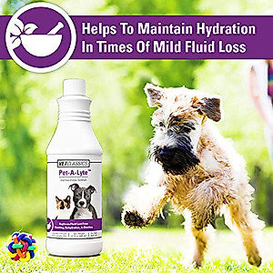 Vet Classics Pet-A-Lyte Oral Electrolyte Solution for Dogs and Cats – Helps Replace Fluids Lost From Pet Dehydration, Diarrhea, Vomiting – Replaces Dog Electrolytes – 32 Oz.