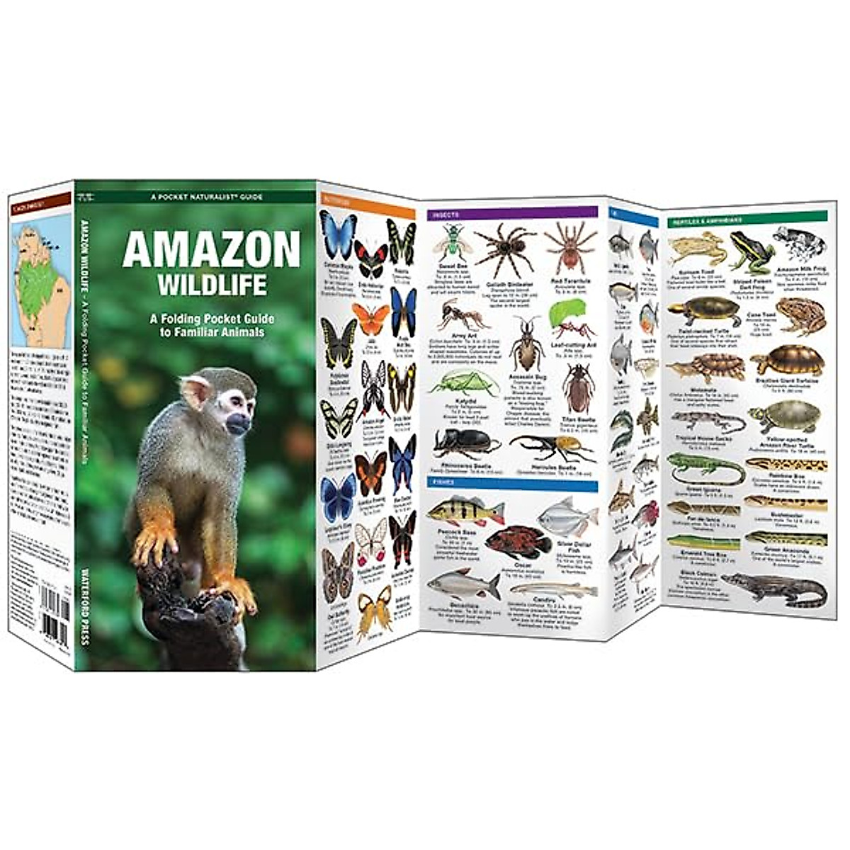 Amazon Wildlife: A Folding Pocket Guide to Familiar Animals (Nature Observation International)