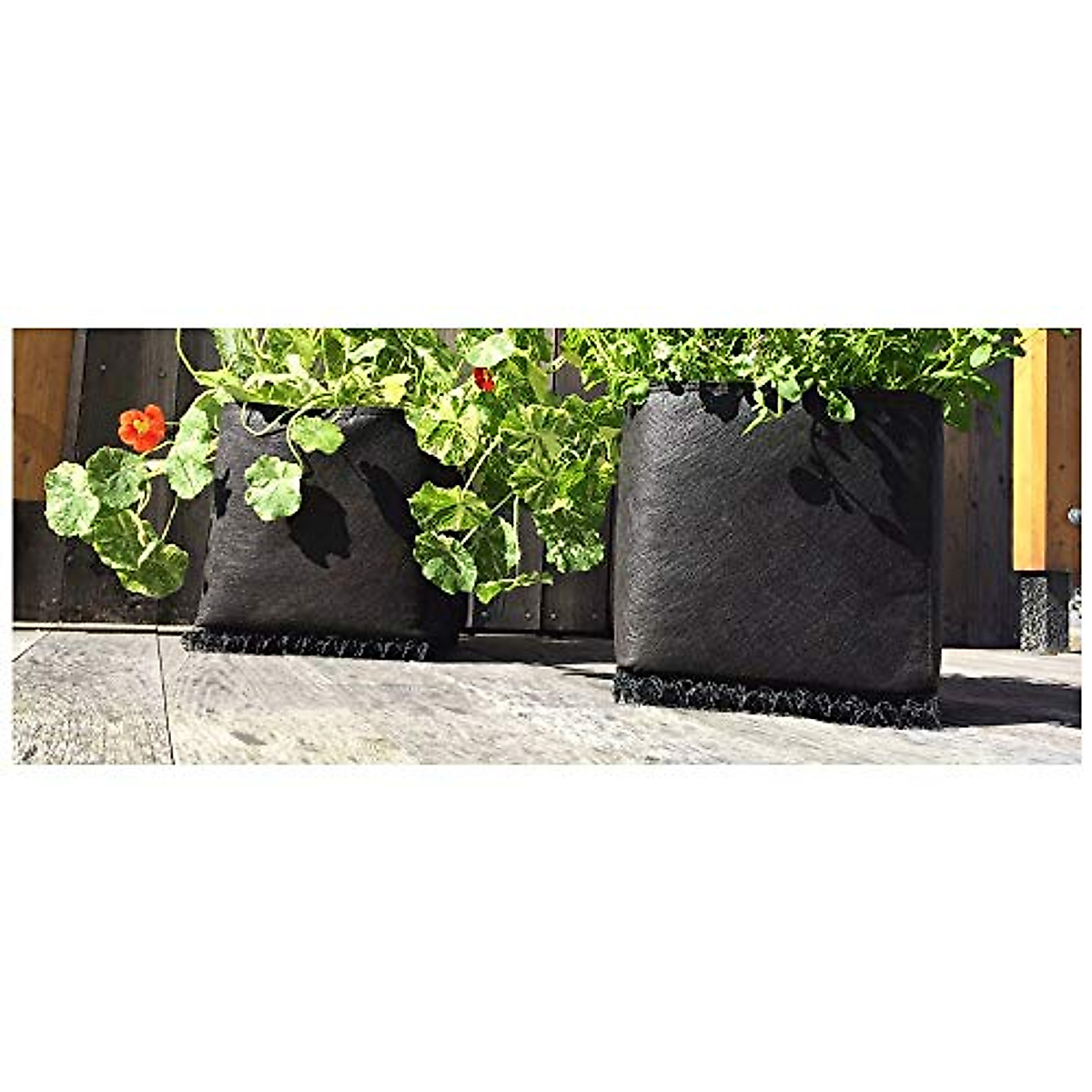 DekProTek Modular 1 ft. x 1 ft. Deck Protector (Pack of 4) for Raised Garden Beds All Makes and Brands Bonsai Drain