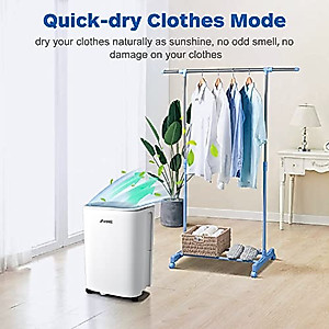 2000 Sq Ft 30 Pint Dehumidifier for Home and Basement, FIRINER Dehumidifiers for Bedroom with Drain Hose, Auto Shut-Off, Intelligent Humidity Control, Laundry Dry and 0.66 Gallon Water Tank