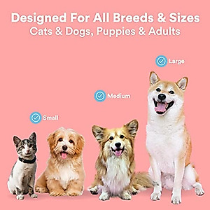 Jasper 360º Dog Toothbrush, Cat Toothbrush, Dog Tooth Brushing Kit, Dog Teeth Cleaning Kit, Dog Dental Care, for Use with Dog Toothpaste and Cat Toothpaste, 2-Pack Clear