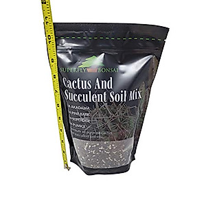 Succulent & Cactus Soil Mix - Premium Pre-Mixed Fast Draining Blend (1.25 Dry Quarts)